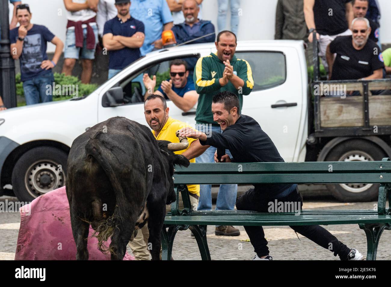 Participants taunt a raging bull during a tourada a corda, also called ...