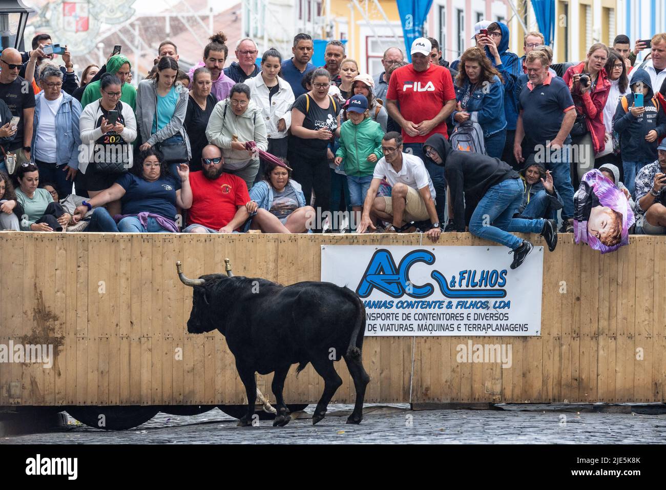 A crowd of spectators watch as a raging bull rams the barrier during a ...