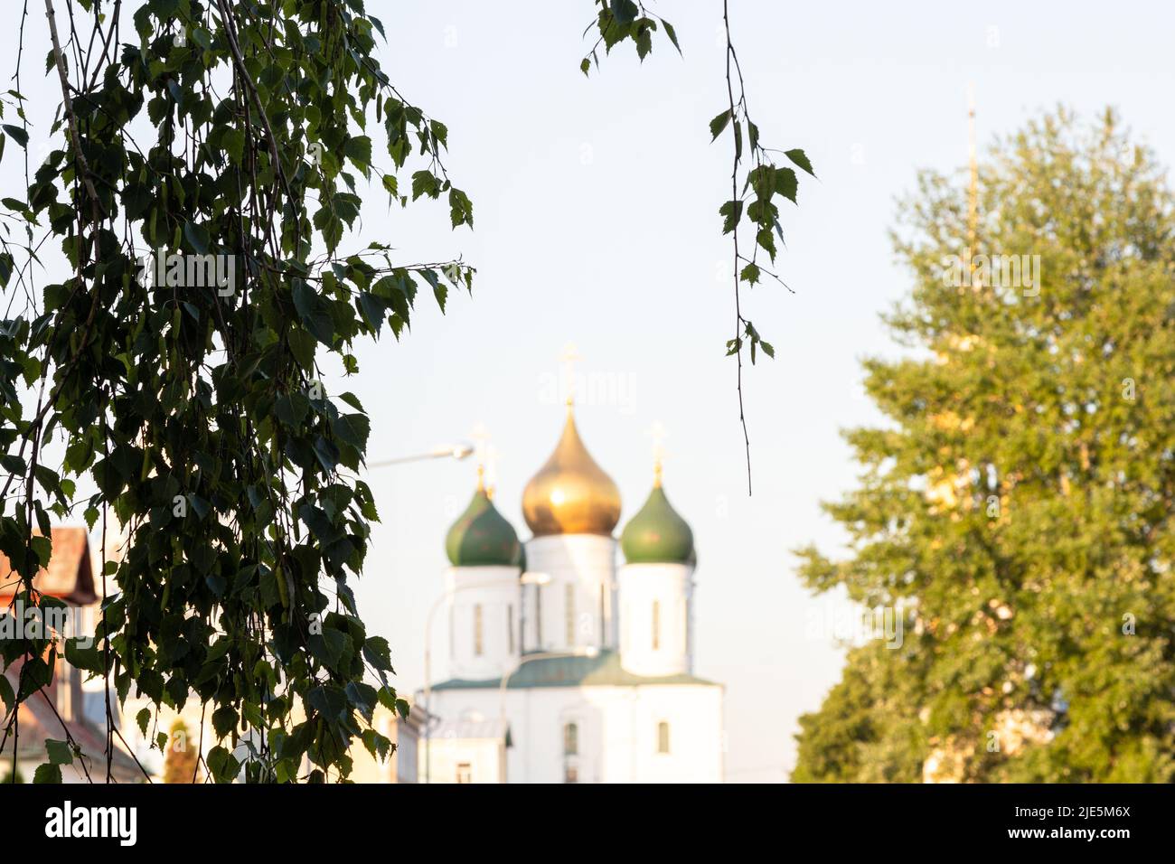 birch twigs and russian cathedral on background in Kolomna city at ...