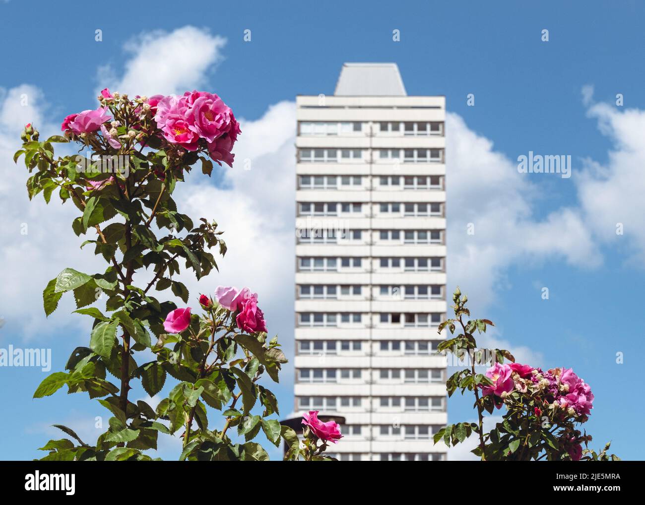 Empty tower block - Dennison Point on the Carpenters Estate, Stratford ...
