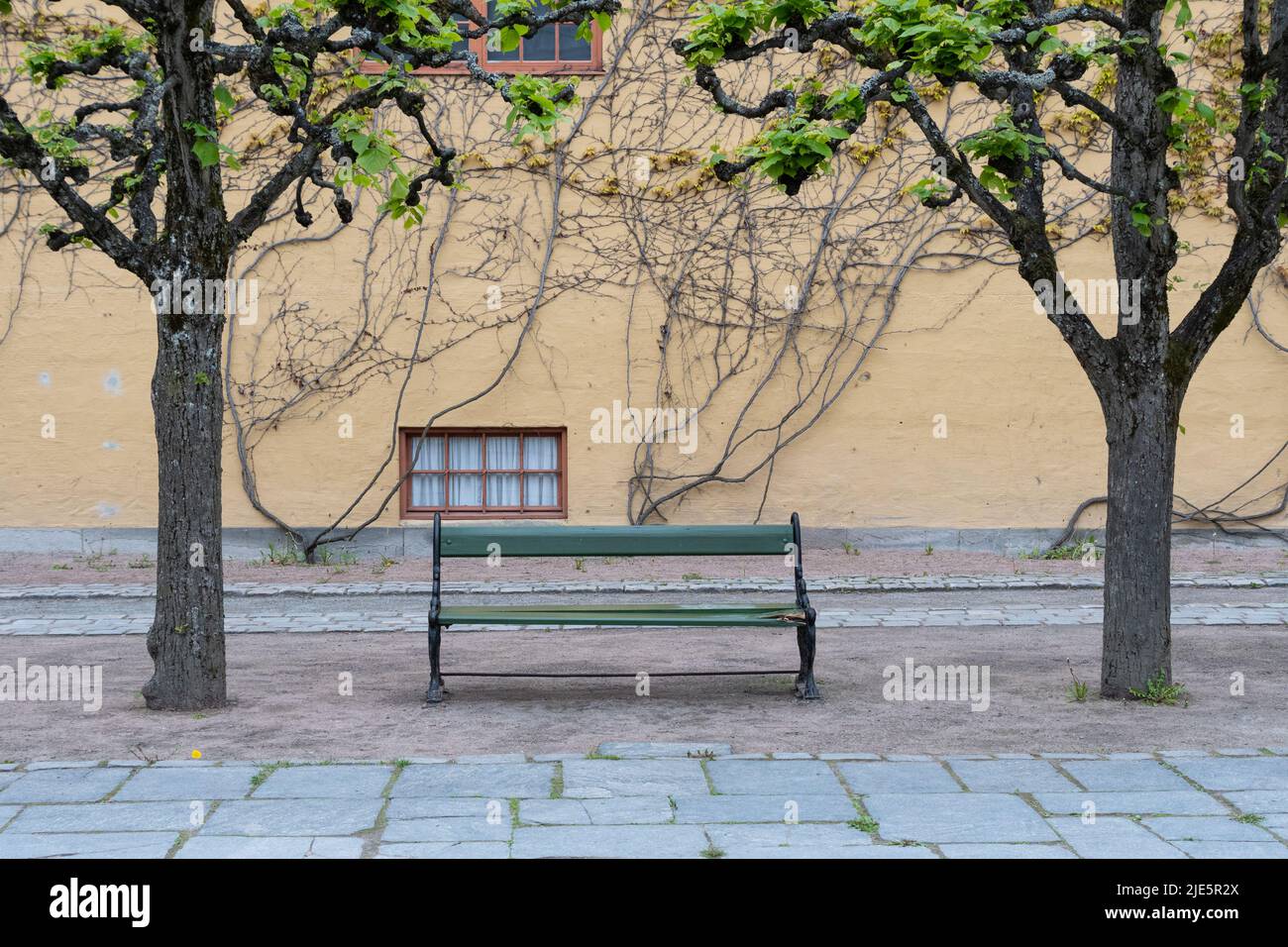 A green bench between two trees at The Norwegian Museum of Cultural ...