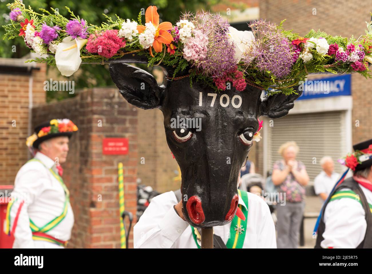 Morris Men Abingdon Stock Photo - Alamy