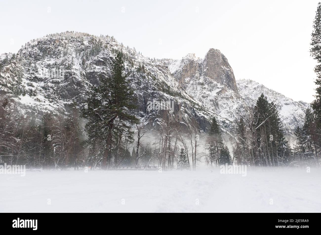 An eerie mist covers the floor of yosemite valley, while a thin layer ...