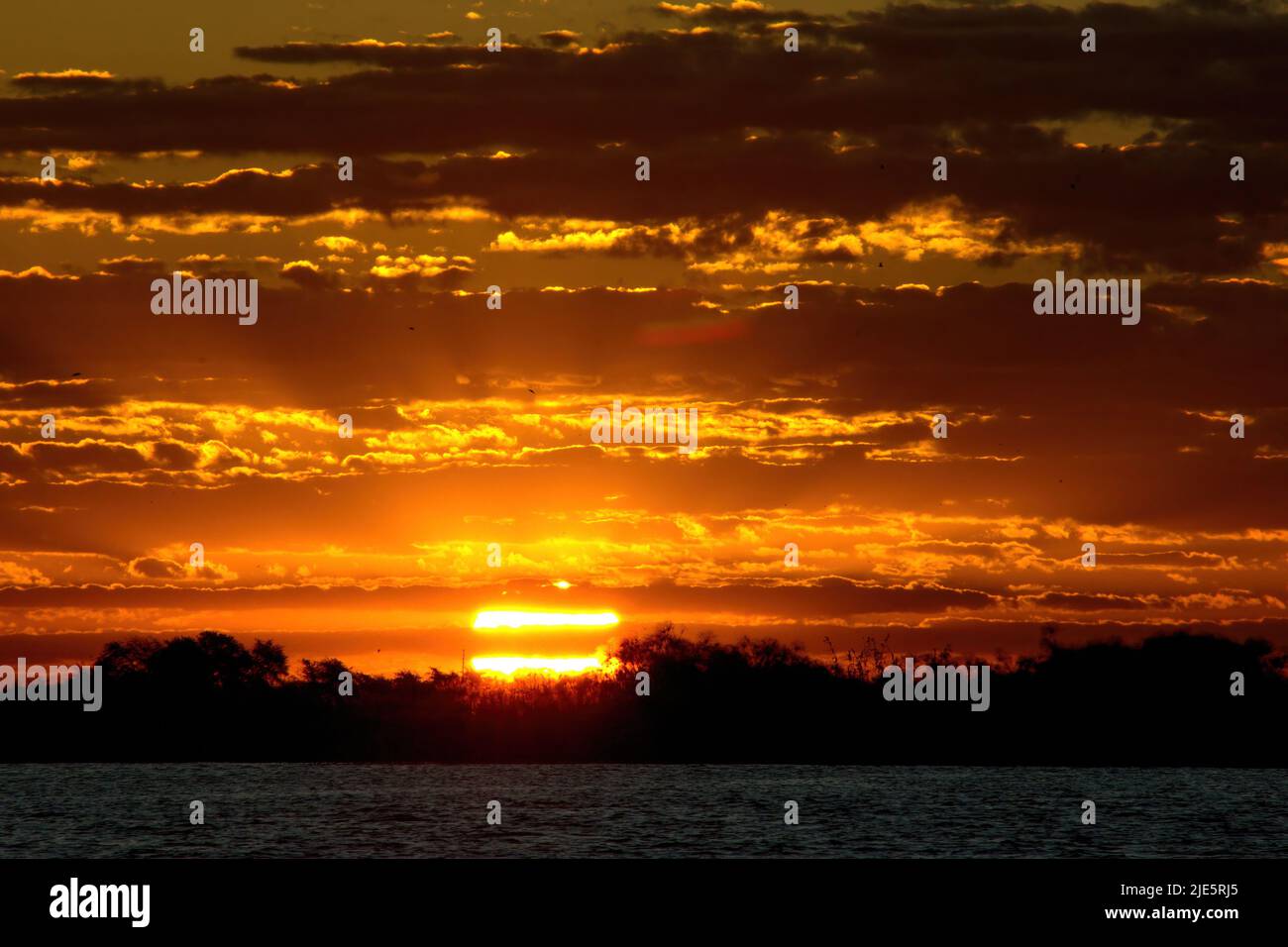 Sunset in the Chobe National Park, Botswana Stock Photo - Alamy