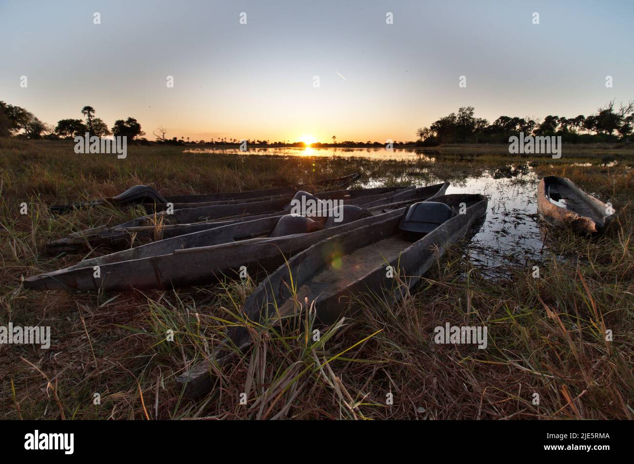 Mokoro canoe elephant hi-res stock photography and images - Alamy
