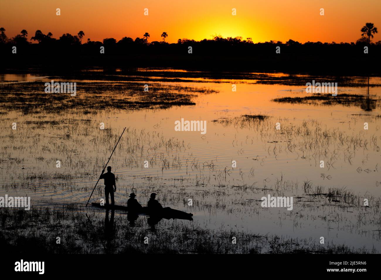 Sunset mokoro ride in the Okavango Delta Stock Photo - Alamy
