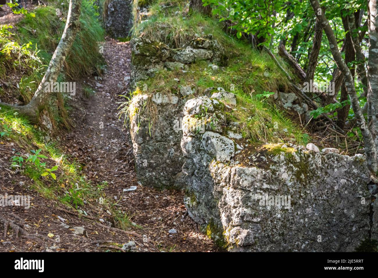 The Napoleonic forts are trenches which were dug in 1703 during the War ...
