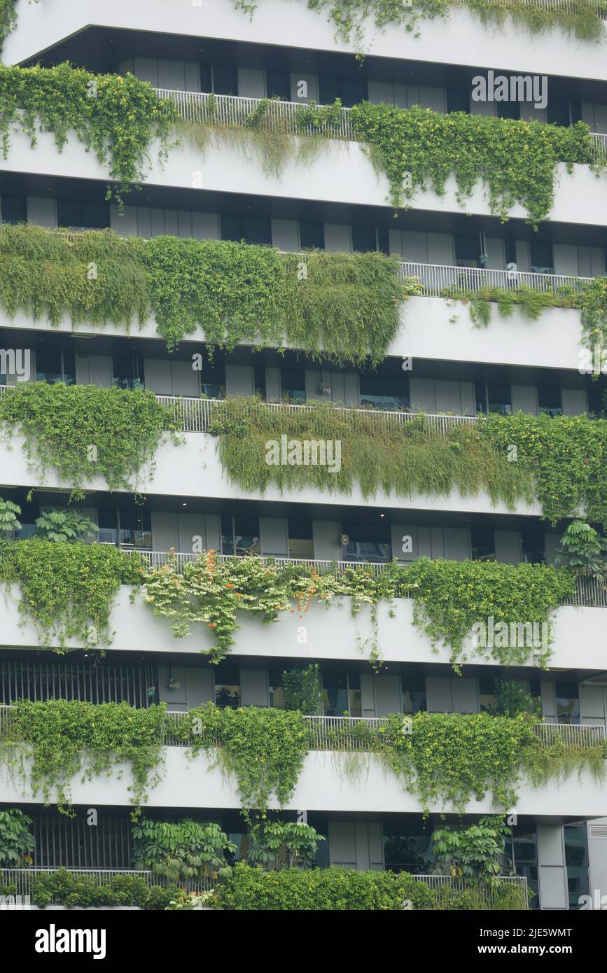 Eco-friendly building in singapore city, sustainable buildings Stock ...