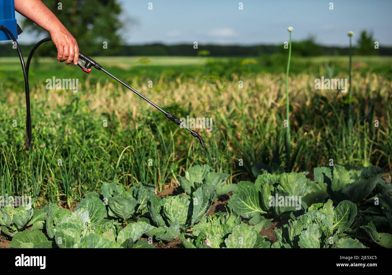 Telescopic tube rod sprayer poisons. Agriculture, gardening, vegetable ...