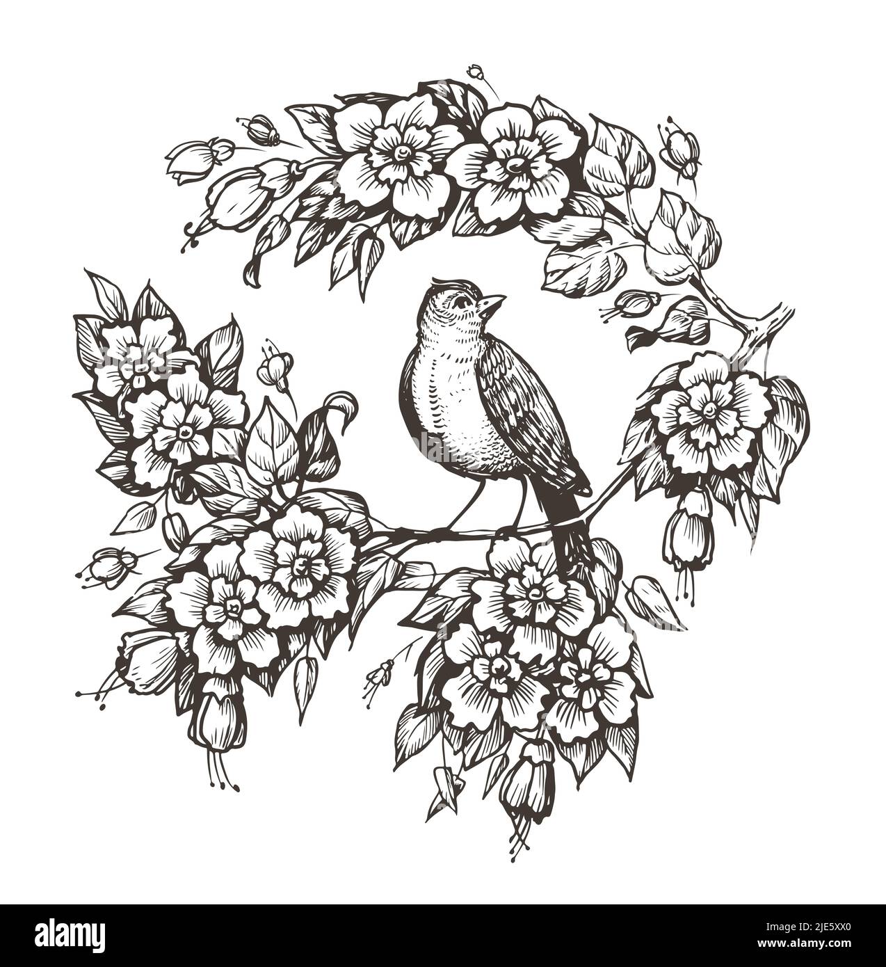 Nightingale Flying Drawing