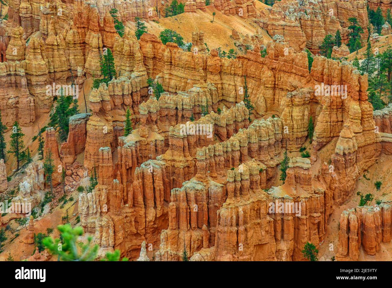 Bryce Amphitheater, Bryce Canyon National Park, Utah, USA Stock Photo ...