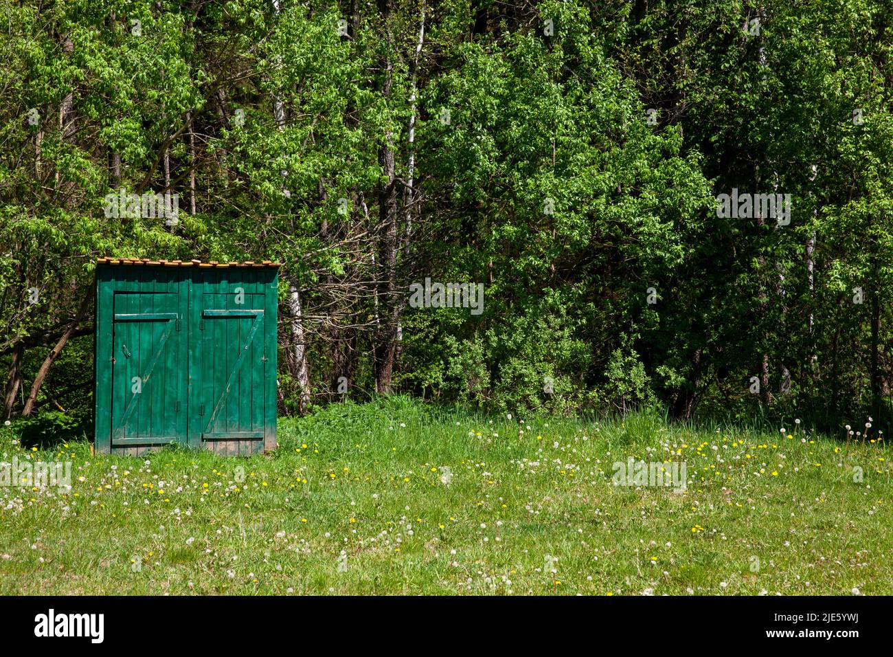 old green wooden toilet in the forest, wooden toilet installed in the ...