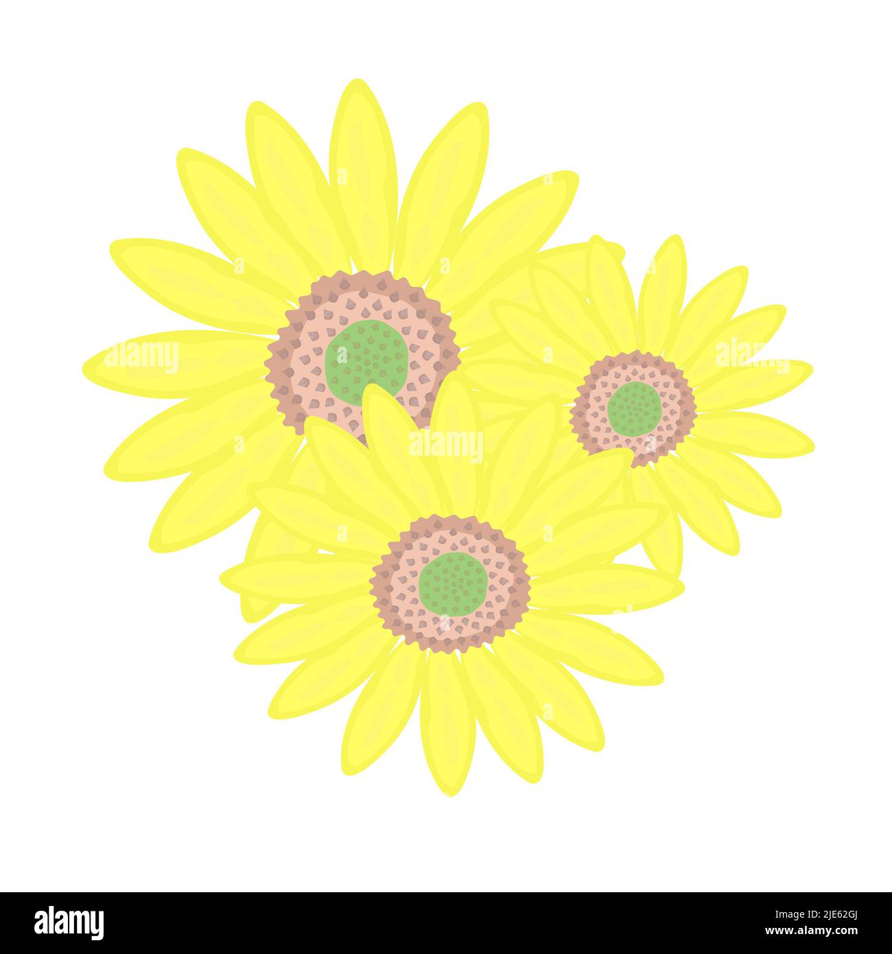 Three sunflowers, composition of yellow flowers Stock Vector Image ...