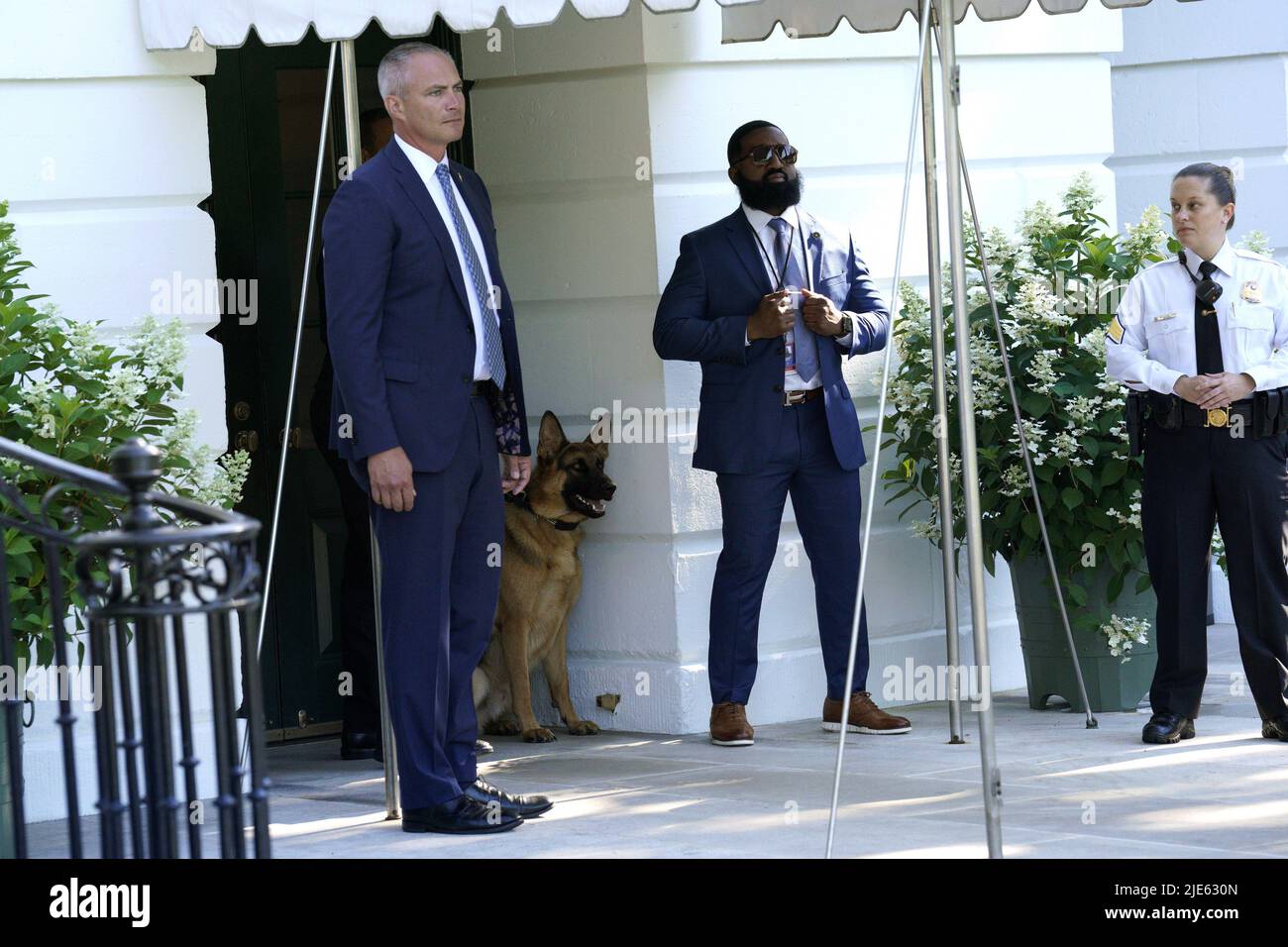 Biden dog commander hi-res stock photography and images - Alamy