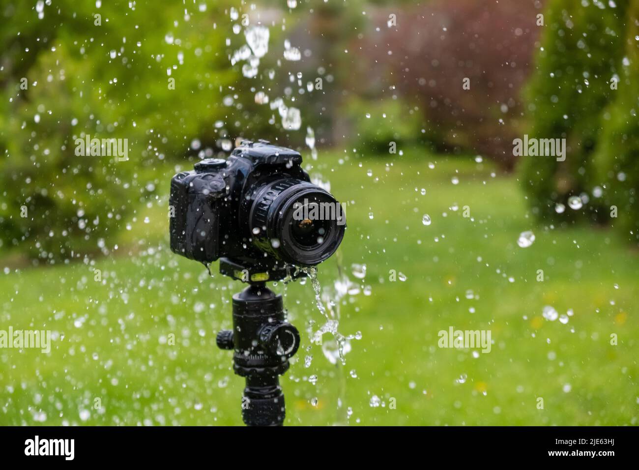 A digital camera on a tripod in the rain Stock Photo - Alamy