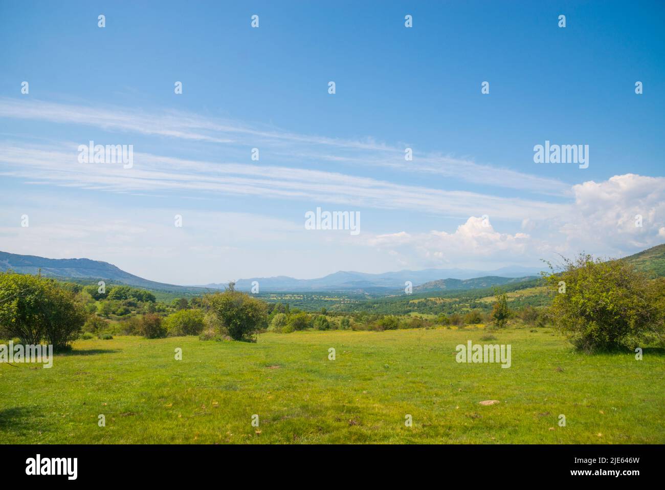 Landscape. Sierra del Rincon Biosphere Reserve, Madrid province, Spain ...