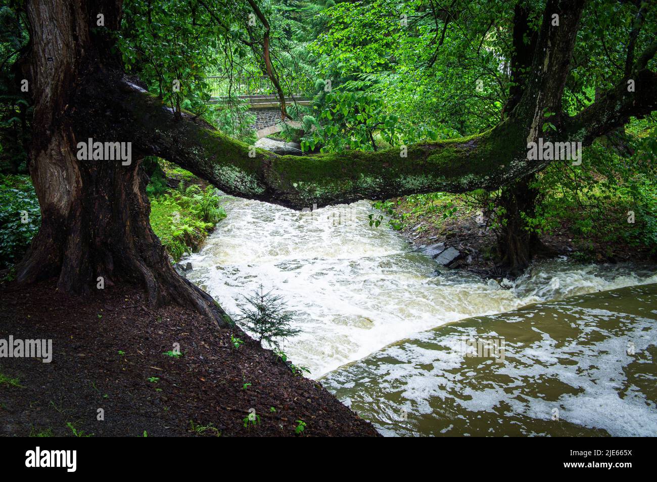 During the night storms, the rain was heaviest in Prague, southern and ...