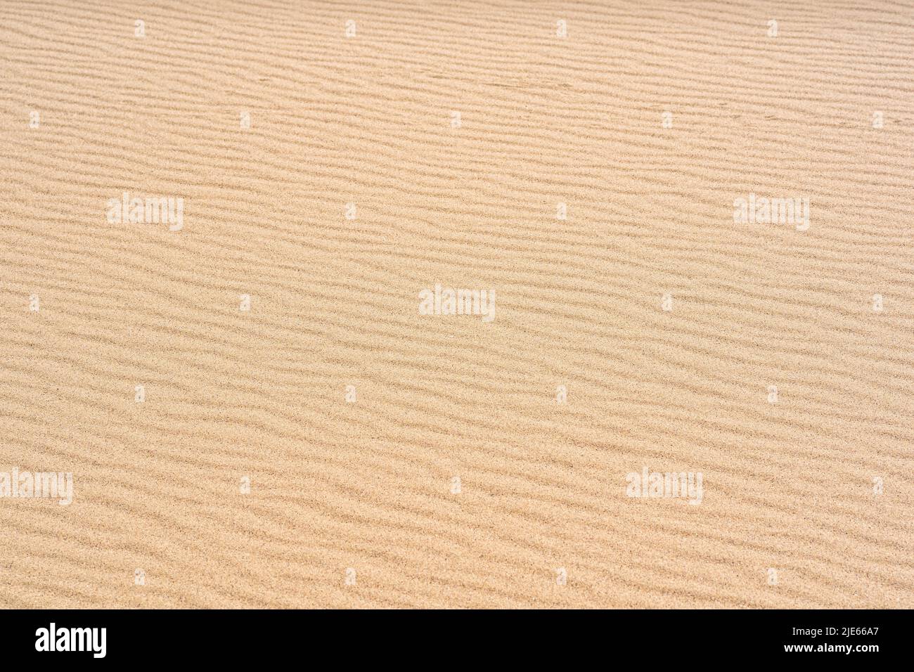 wind ripples on the sandy surface in the desert Stock Photo - Alamy