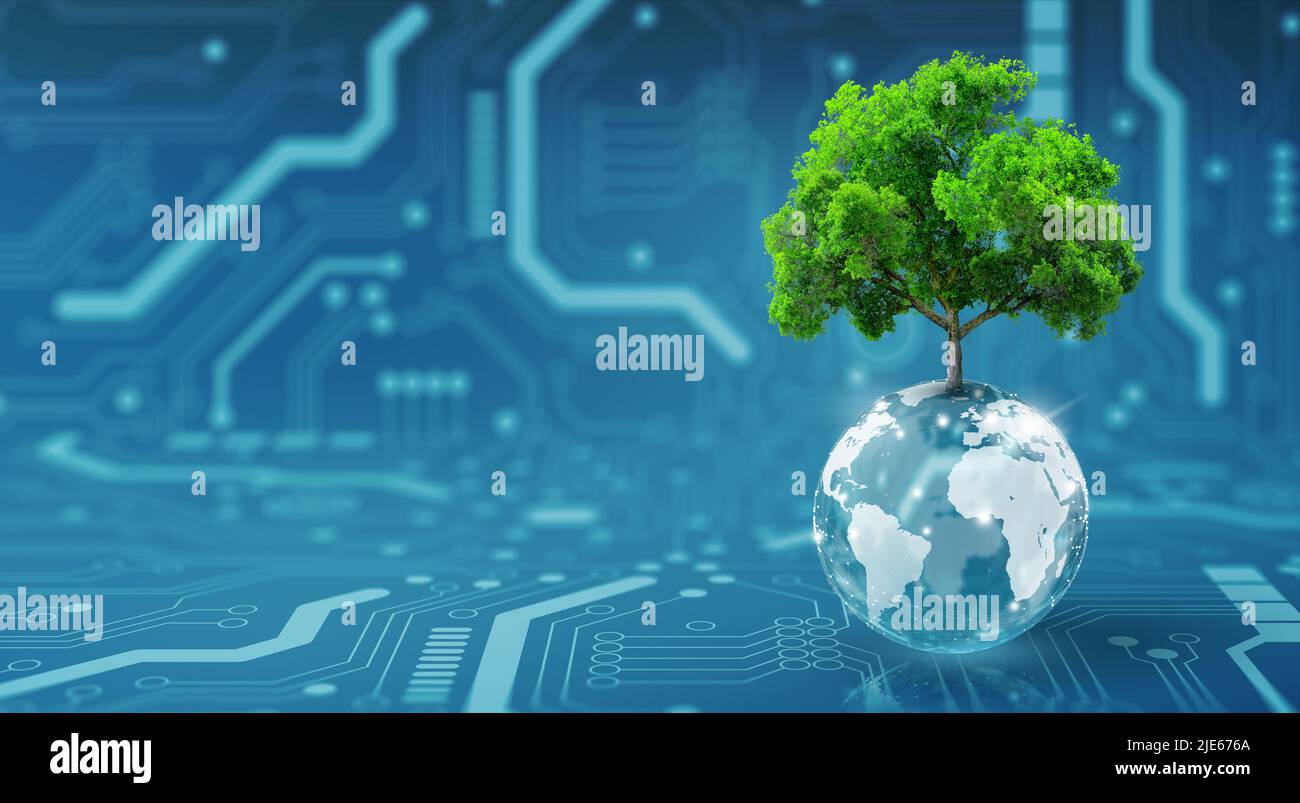 Tree growing on crystal globe. Digital Convergence and and Technology Convergence. Blue light ...