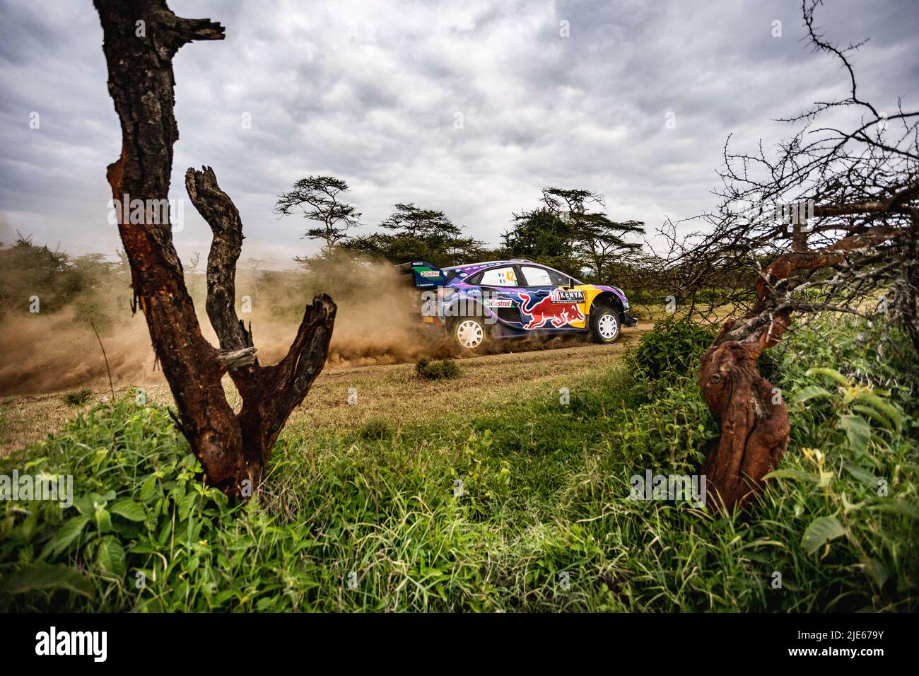 42 BREEN Craig (irl), NAGLE Paul (irl), M-Sport Ford World Rally Team ...
