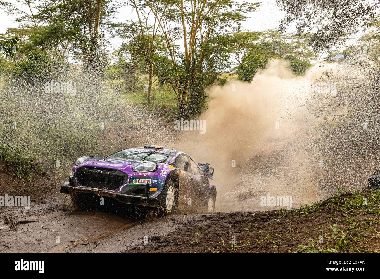 42 BREEN Craig (irl), NAGLE Paul (irl), M-Sport Ford World Rally Team ...