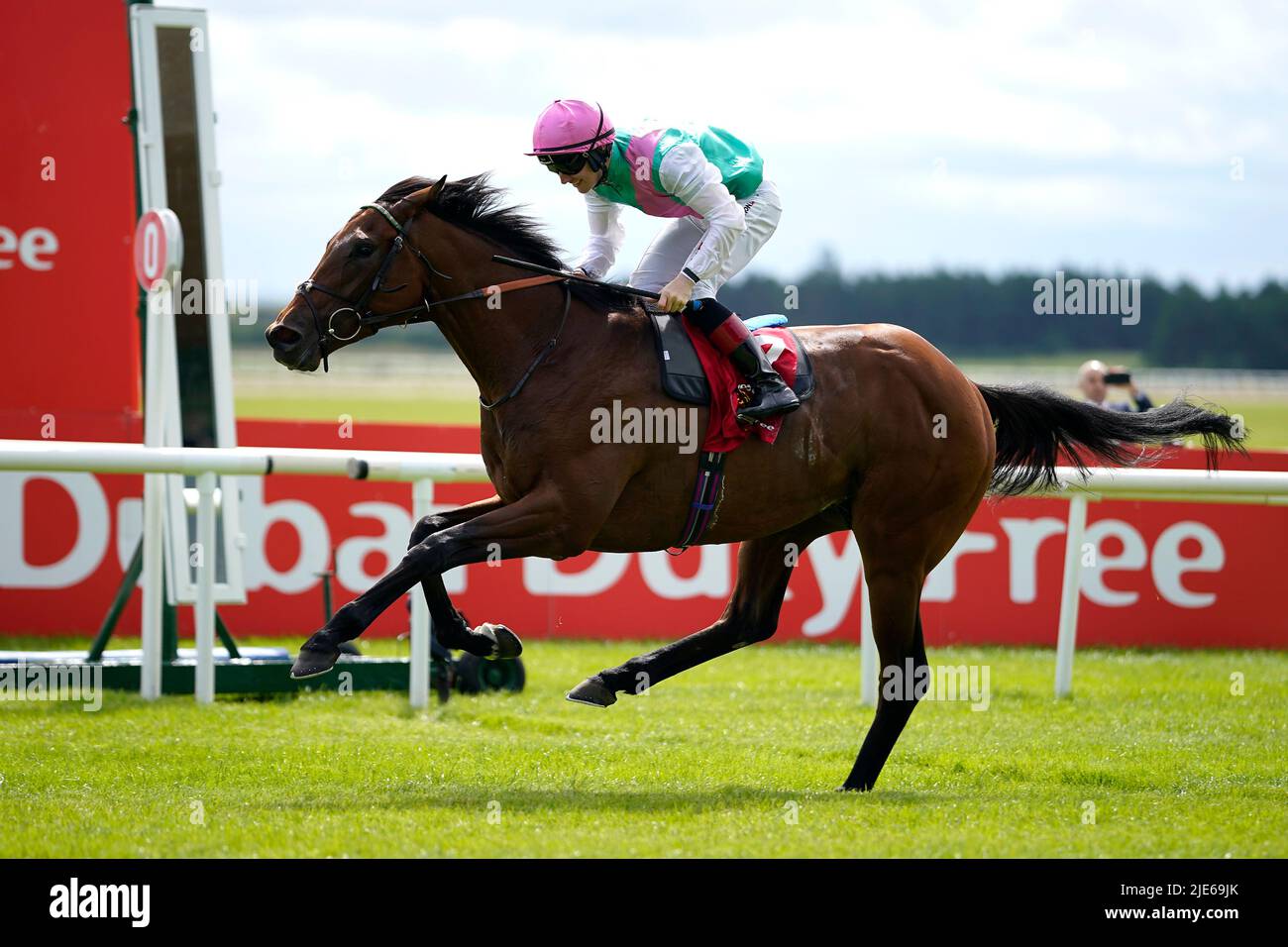 Westover horse hi-res stock photography and images - Alamy