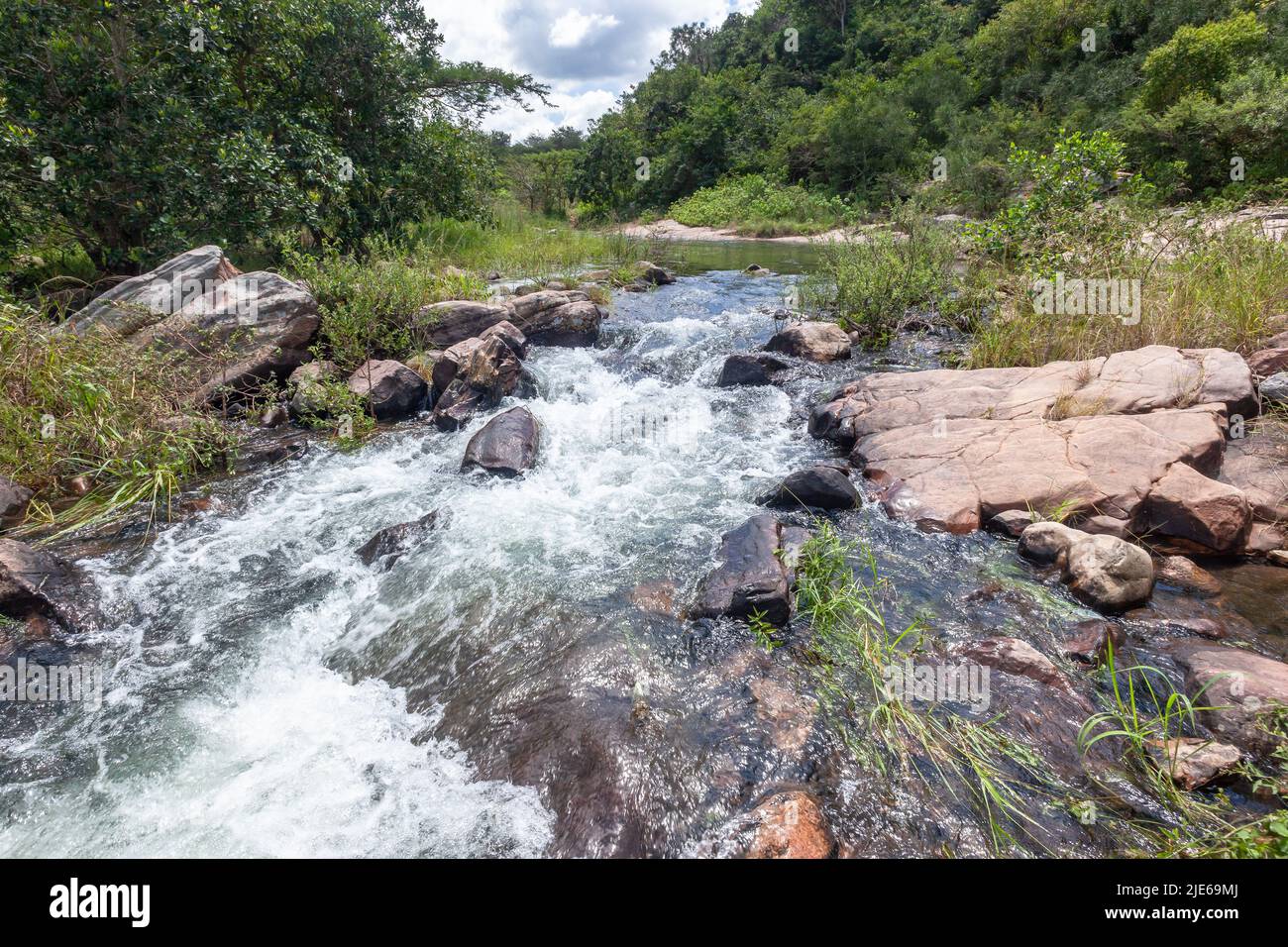 River small tributary of clean water flowing over rocky rapids summer ...