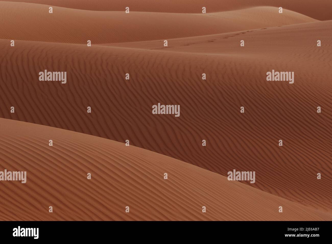 Horizontal close-up of a section of sand dunes in Al Wathba desert, Abu ...