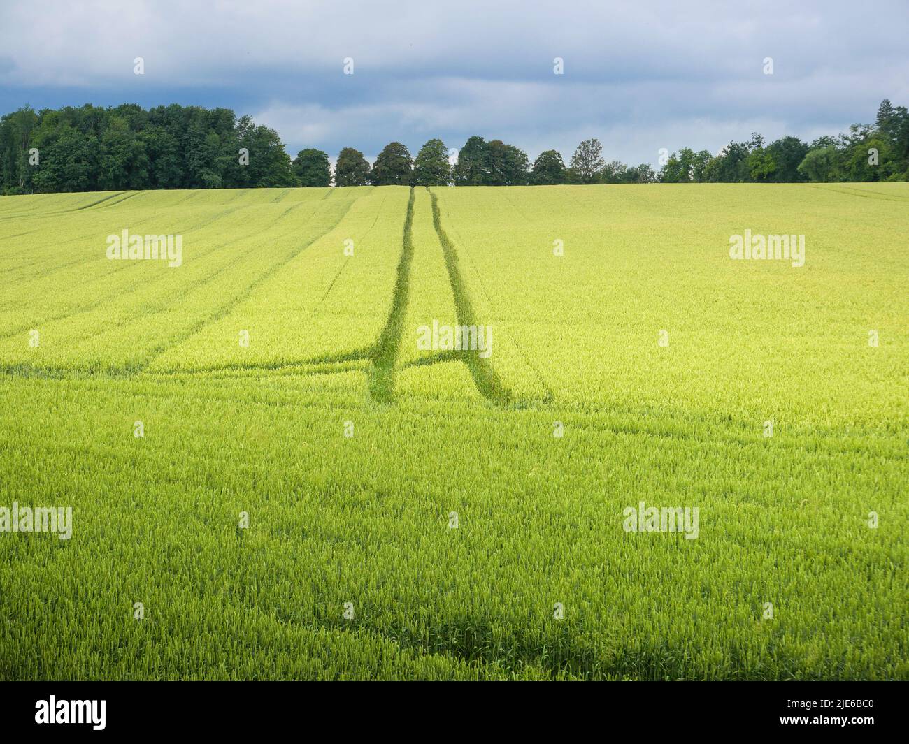 Field in flanders hi-res stock photography and images - Alamy