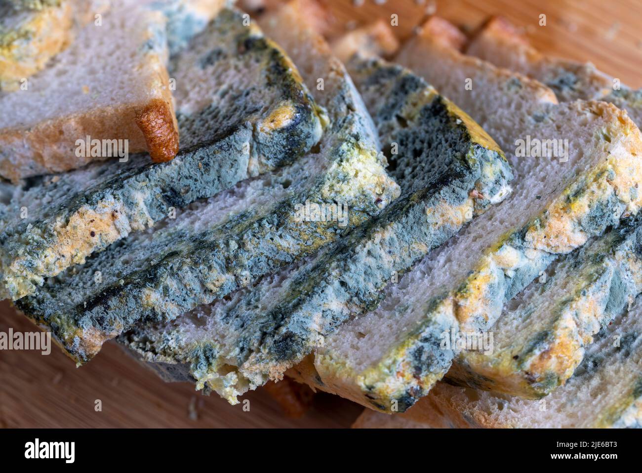 spoiled and completely covered with mold white wheat potion on the ...