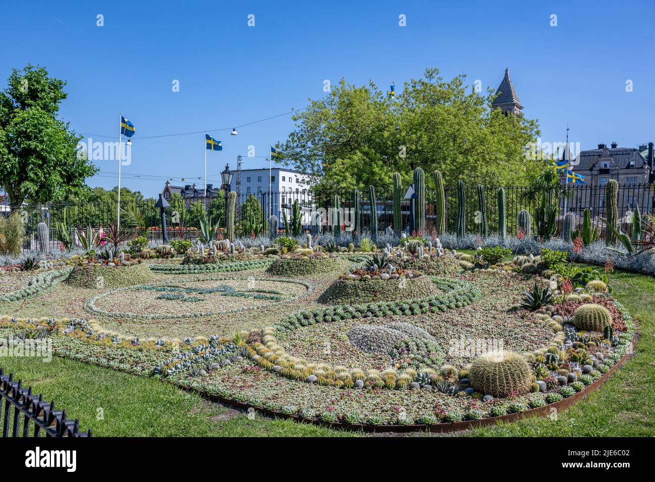 The famous cactus group at Carl Johans park in Norrkoping, Sweden. The ...