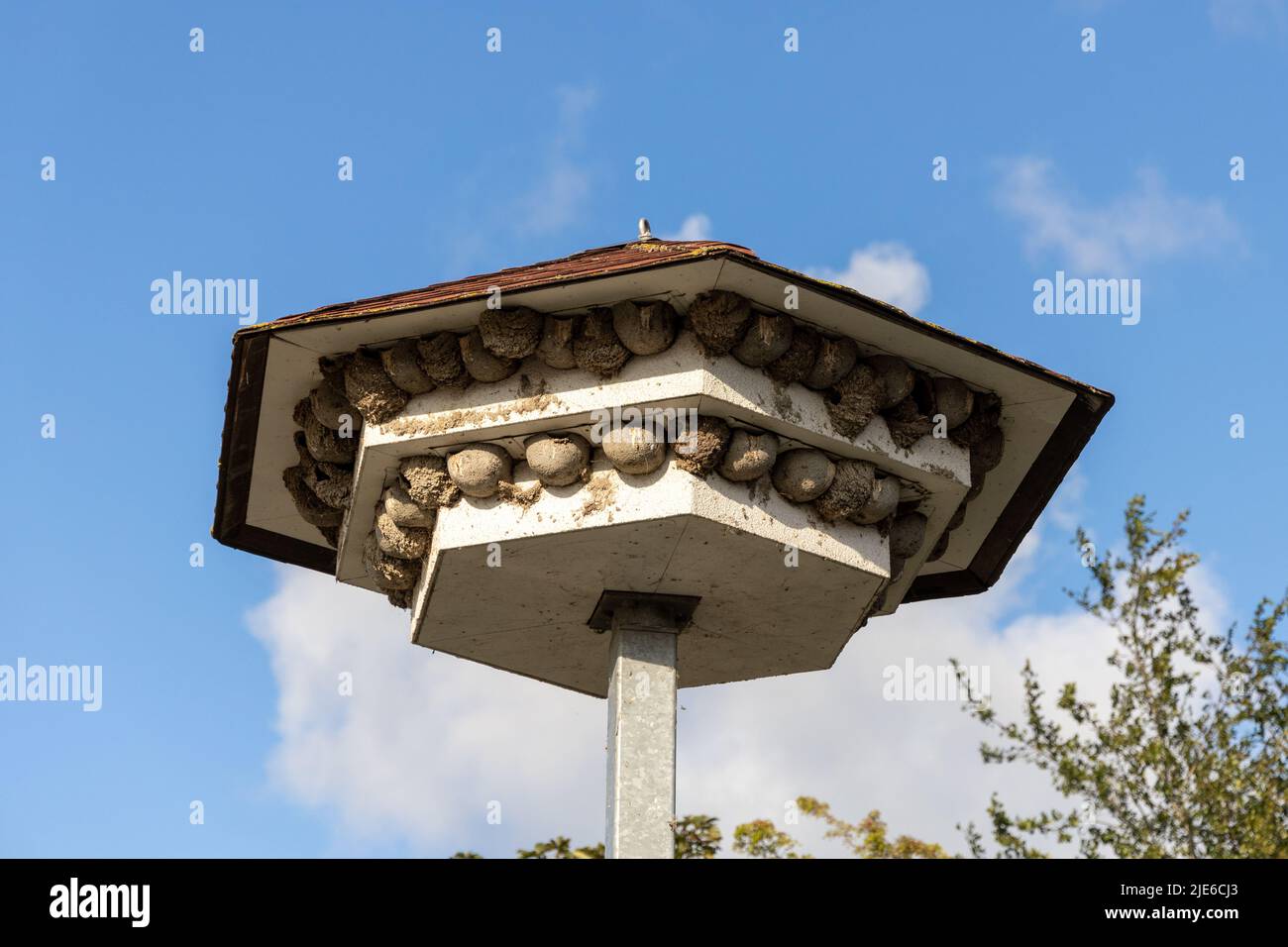 A big nesting tower for swallows and buildings to protect Stock Photo ...