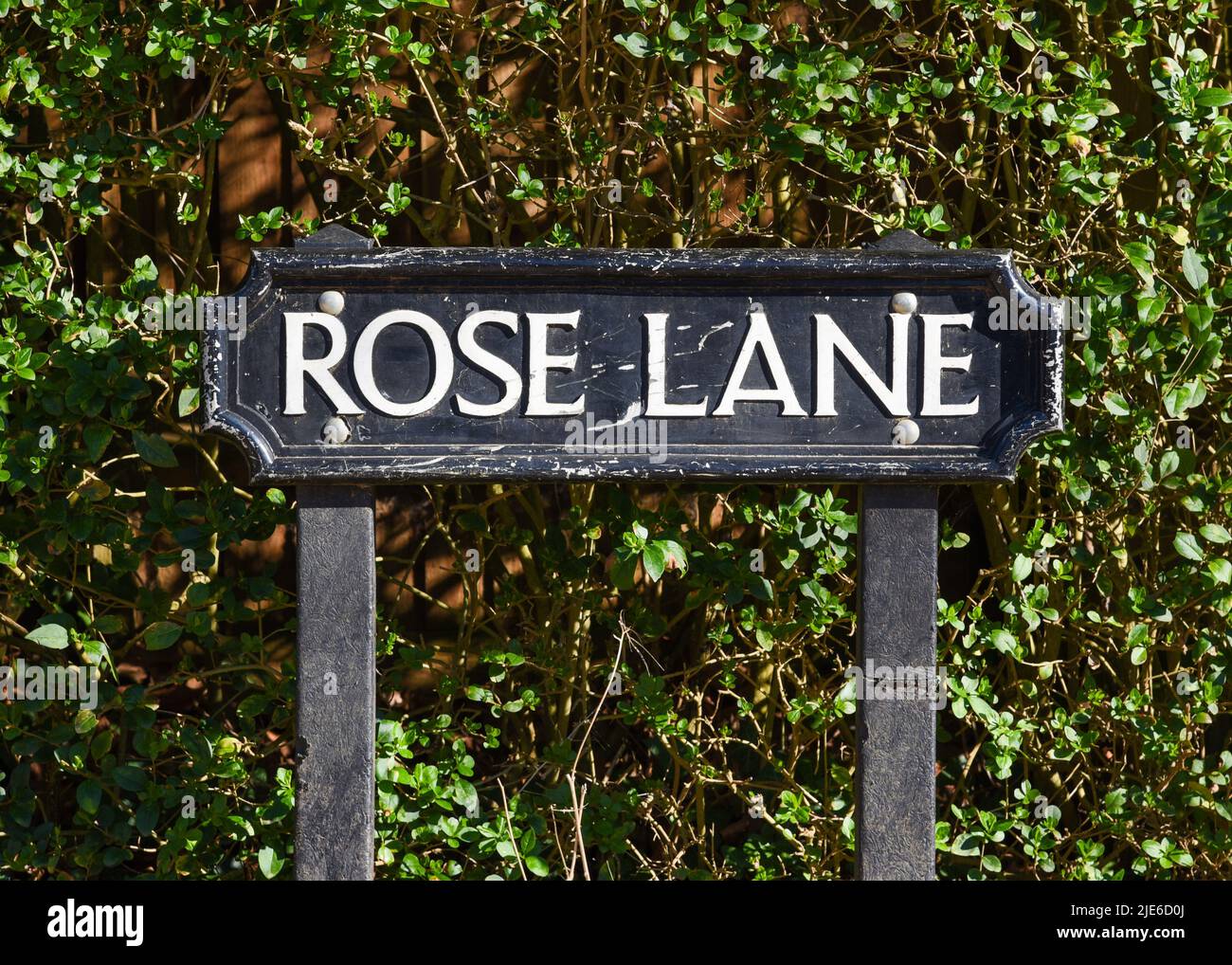 Damian lane hi-res stock photography and images - Alamy