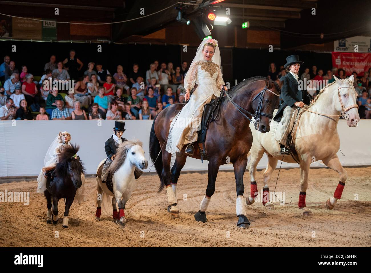 Opposites attract horse hi-res stock photography and images - Alamy