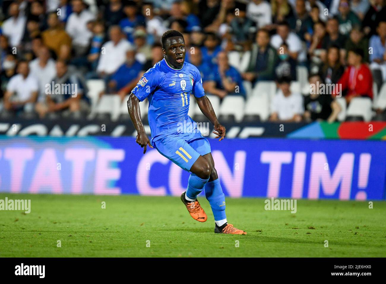 Italy's Wilfried Gnonto portrait in action during the football UEFA ...