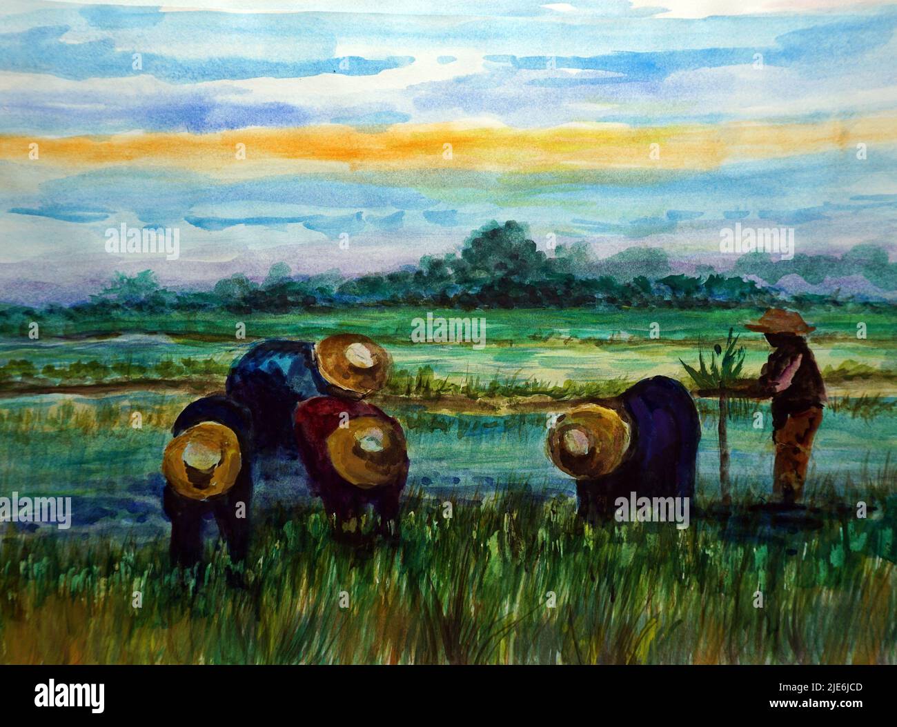 Art painting watercolor Thai land Grow rice , Transplant rice seedlings ...