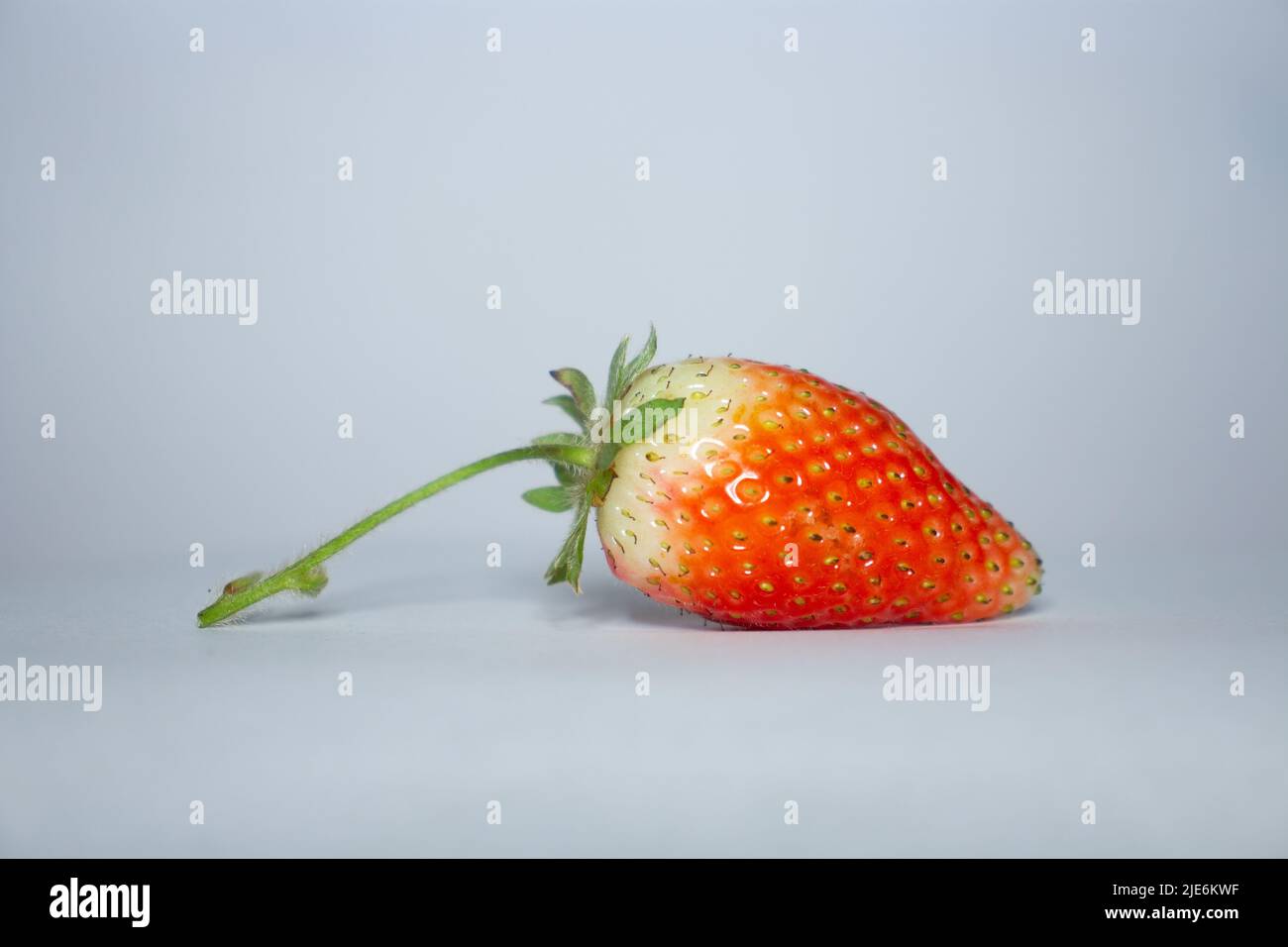 unripe strawberry with stalk Stock Photo - Alamy