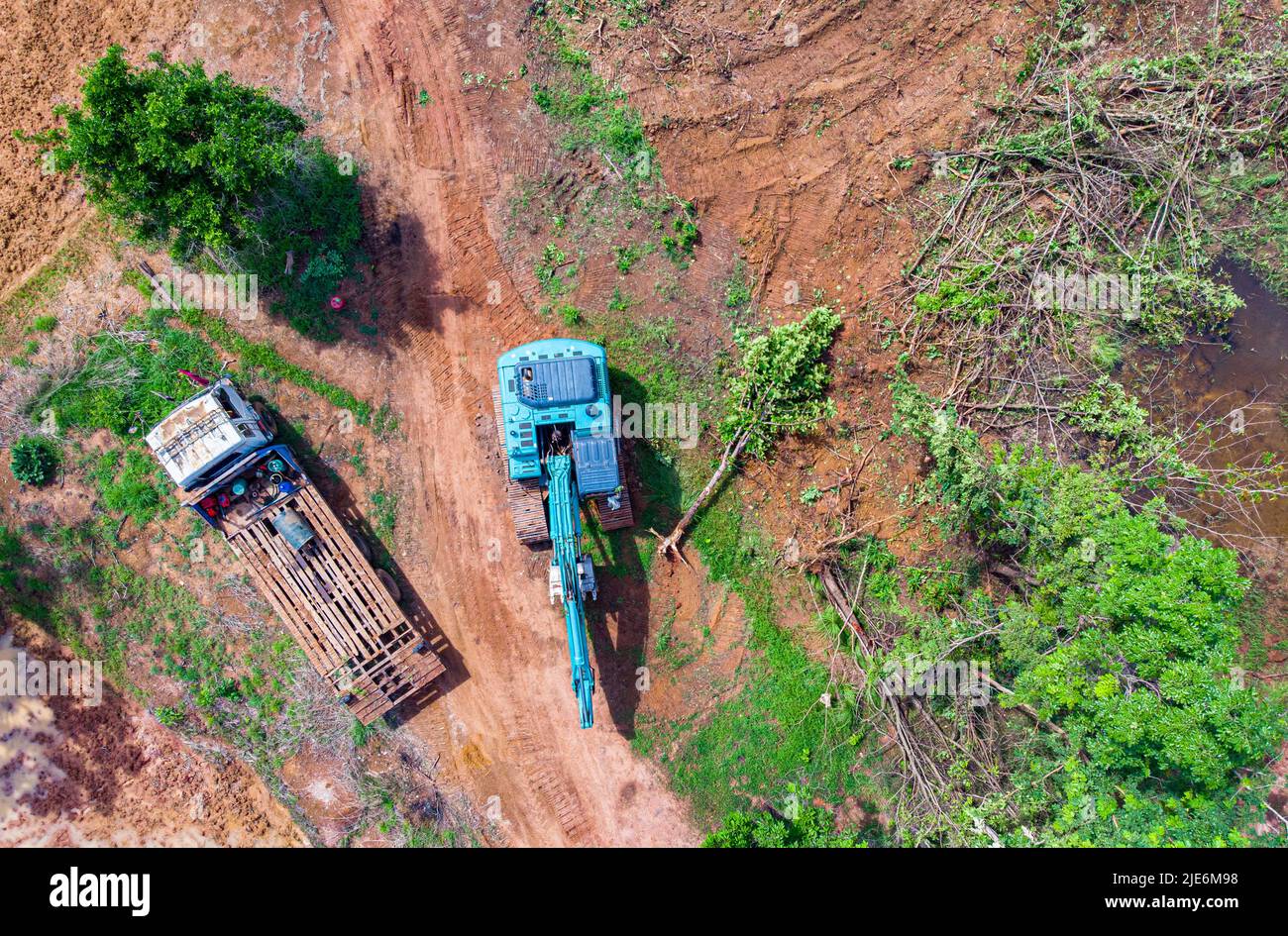 Human deforestation hi-res stock photography and images - Alamy