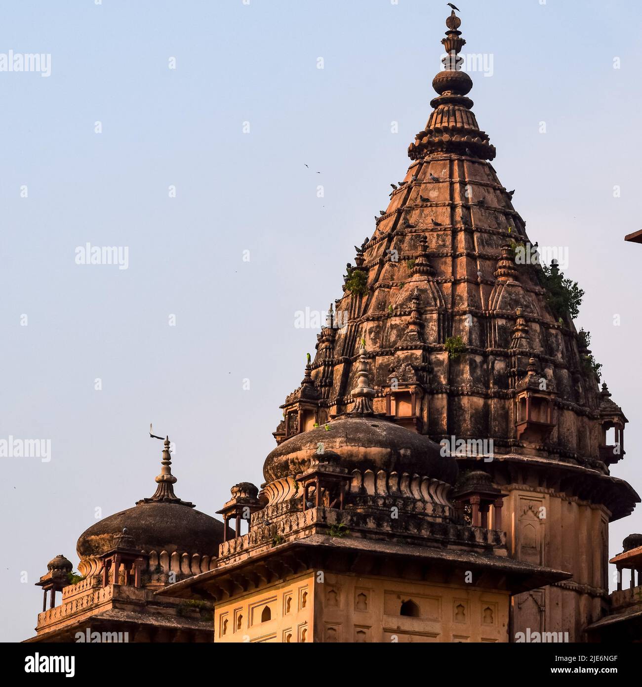 Morning View of Royal Cenotaphs (Chhatris) of Orchha, Madhya Pradesh ...
