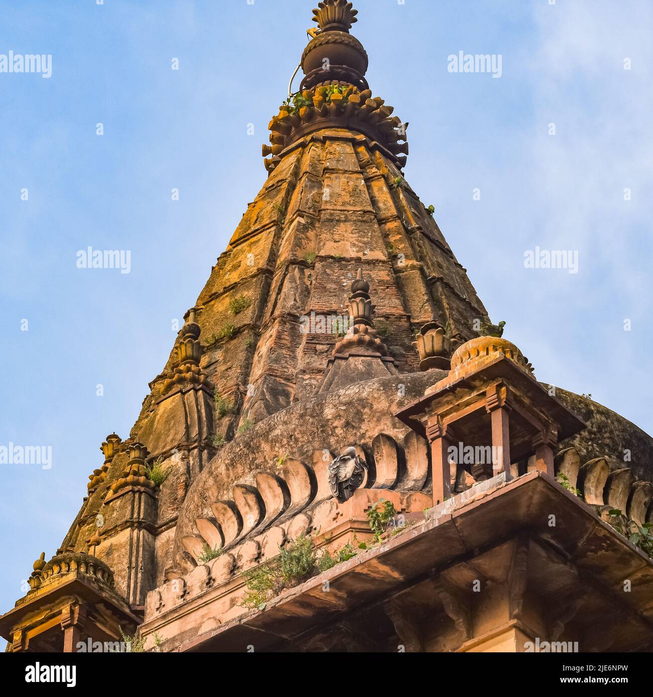 Morning View of Royal Cenotaphs (Chhatris) of Orchha, Madhya Pradesh ...