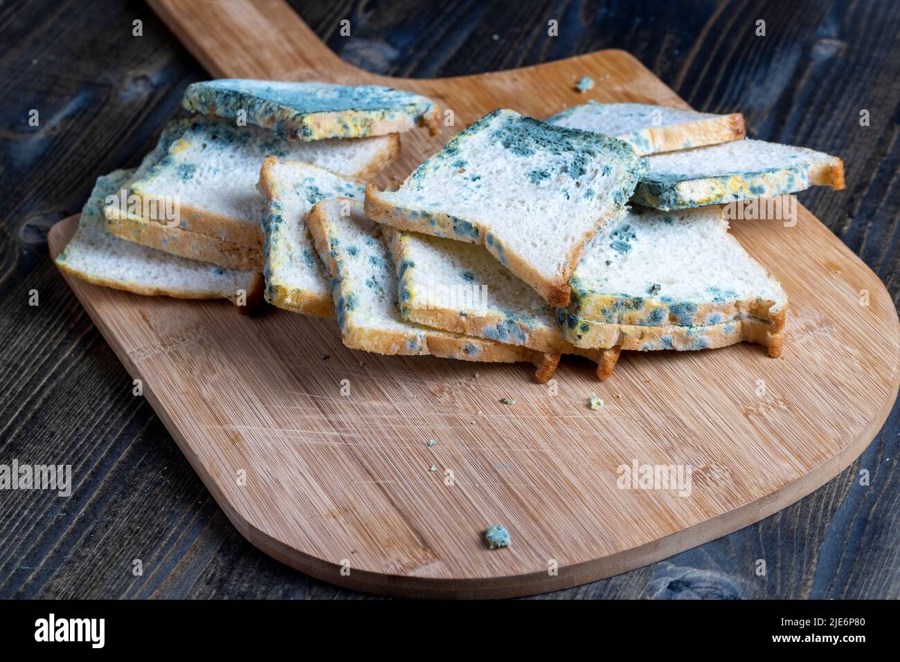 spoiled and completely covered with mold white wheat potion on the ...