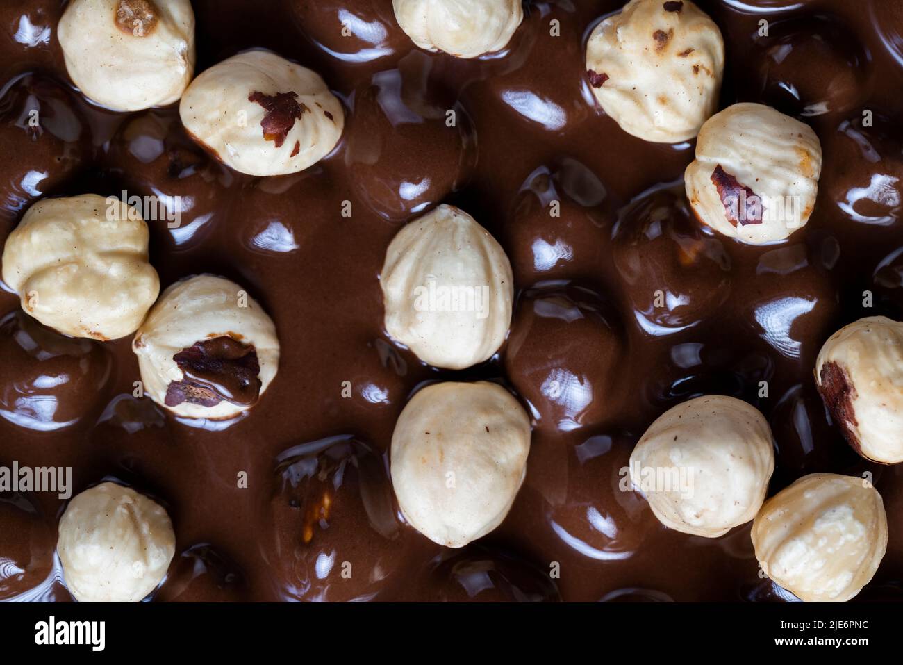 real milk chocolate while cooking with hazelnuts, a bunch of hazelnuts ...