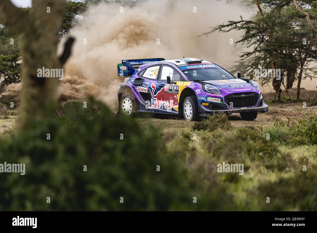 42 BREEN Craig (irl), NAGLE Paul (irl), M-Sport Ford World Rally Team ...