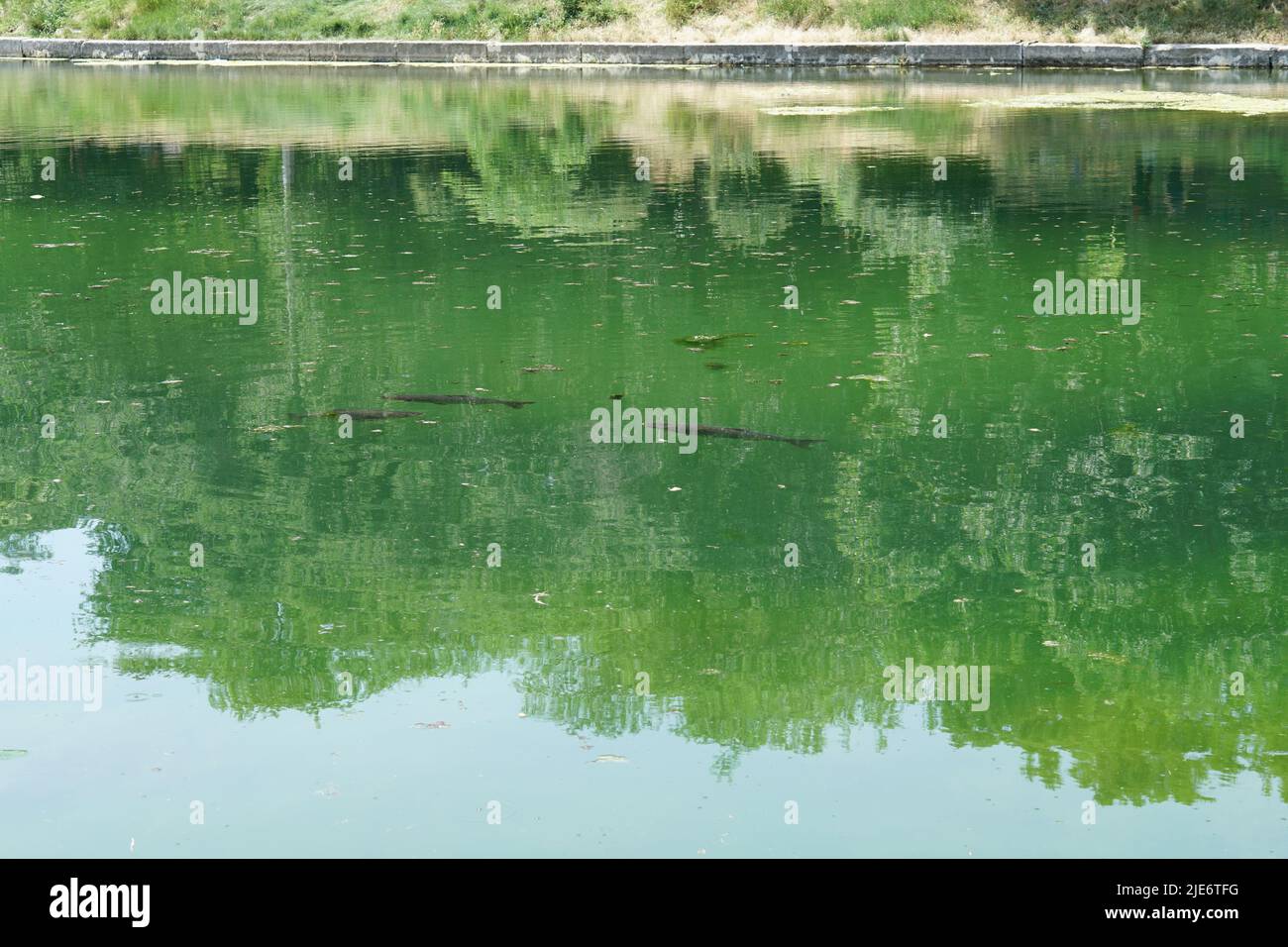 Dirty water sea river lake hi-res stock photography and images - Alamy