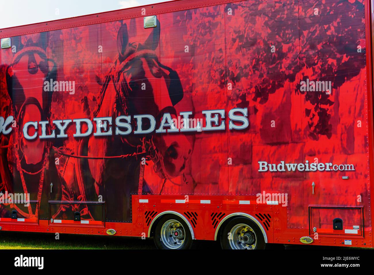 Budweiser clydesdale wagon dalmatian hi-res stock photography and ...