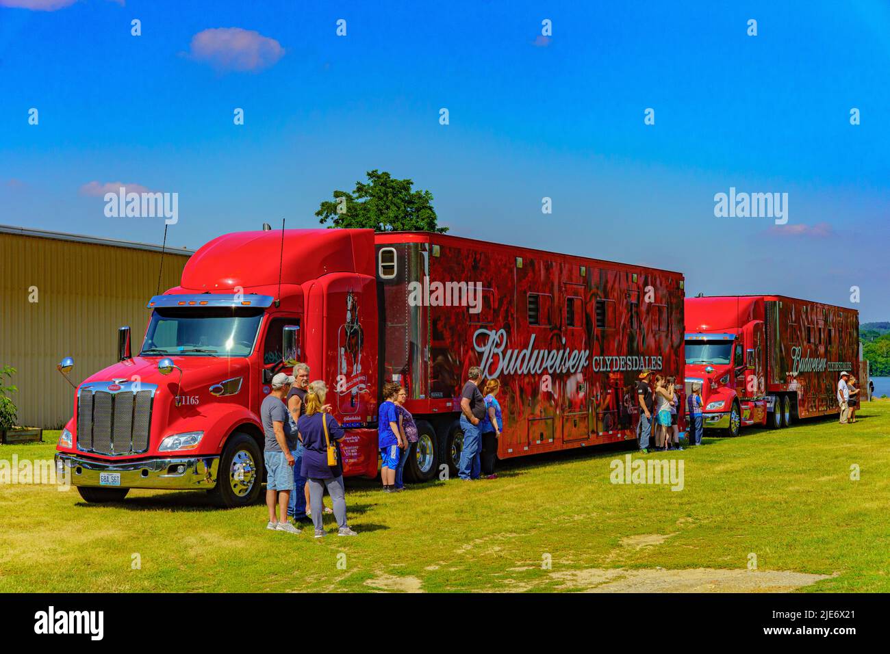 Budweiser clydesdale wagon dalmatian hi-res stock photography and ...