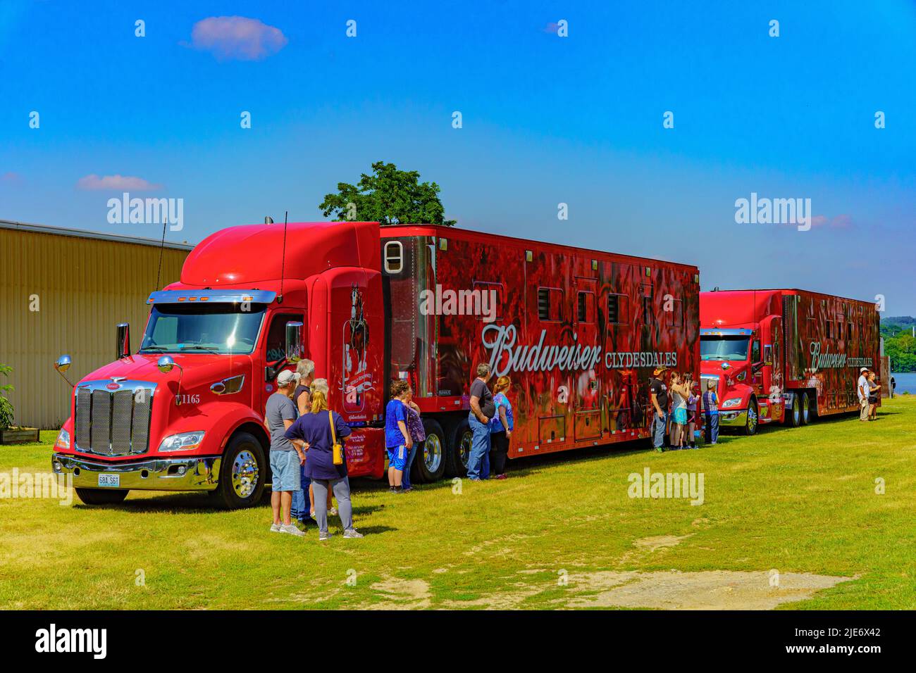 Budweiser Clydesdales Commercial 2022
