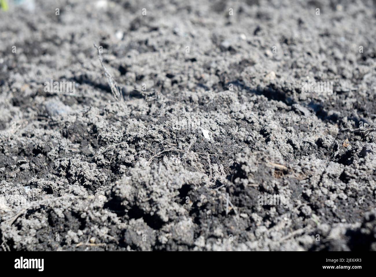Ground texture, black soil close up background Stock Photo - Alamy