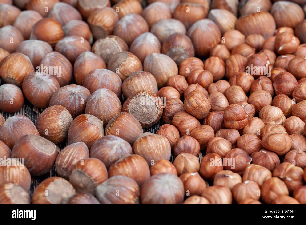 a pile of harvested hazelnuts on the table, collected a large number of ...