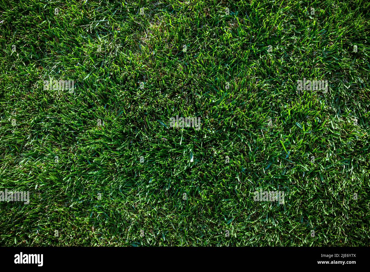 Grass overlay hi-res stock photography and images - Alamy